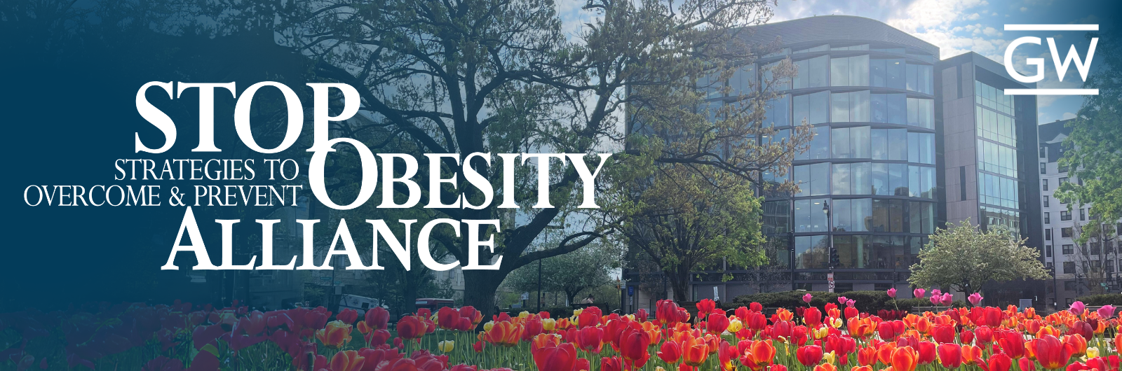 Stop Obesity Alliance Milken Institute School Of Public Health The